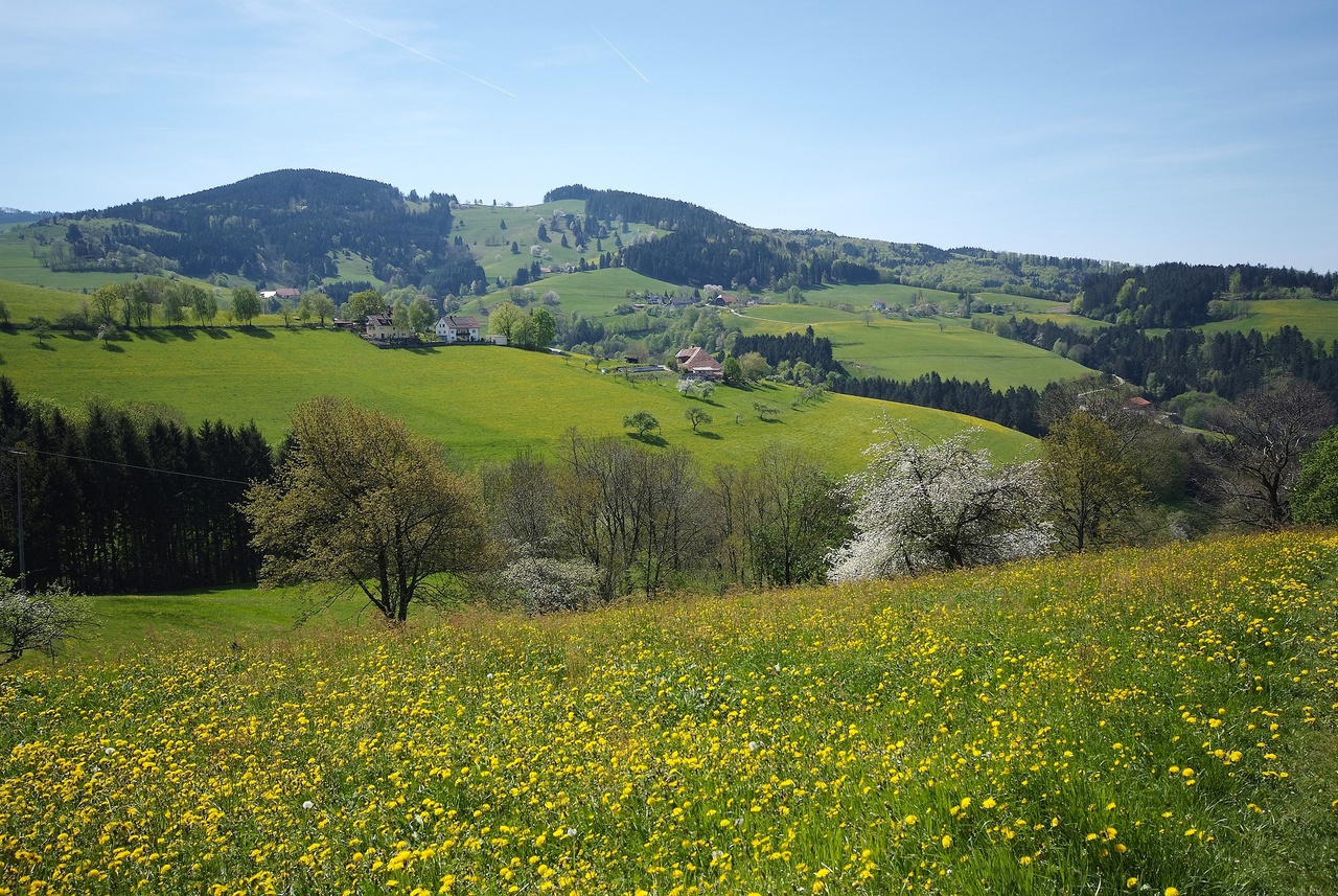 Wandern am Fuße des Schauinslands - Horben bei Freiburg