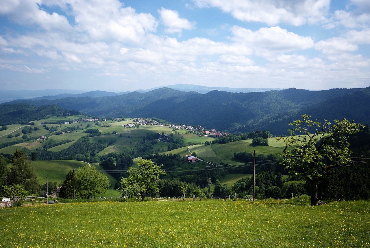 Wandern am Fuße des Schauinslands - Horben bei Freiburg