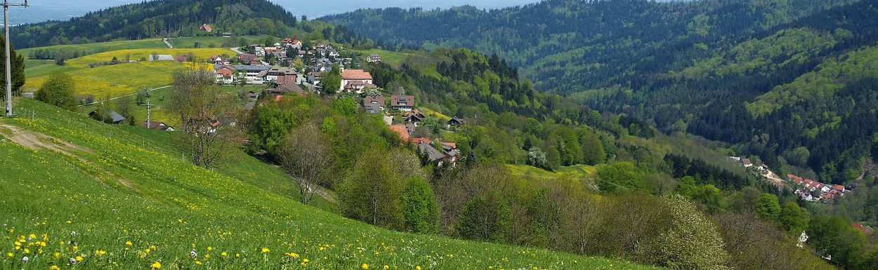 Horben am Fuße des Schauinsland bei Freiburg - Offizielle Homepage